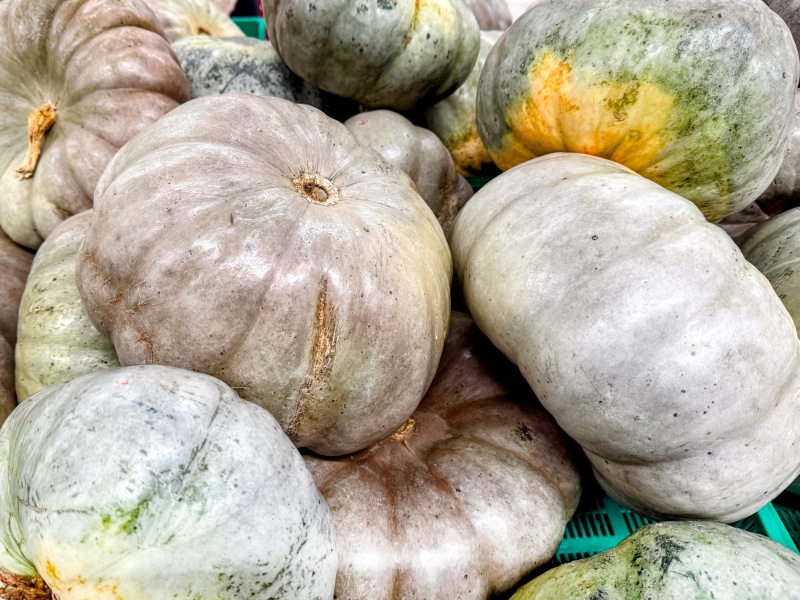 Farm-Fresh Winter Squash Jigsaw Puzzle
