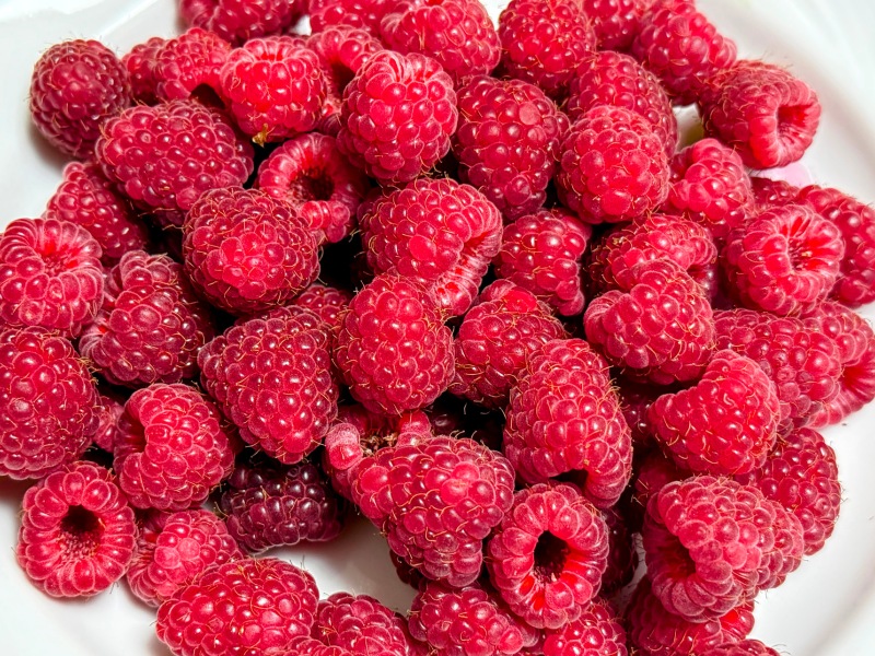 Freshly Picked Raspberries Jigsaw Puzzle