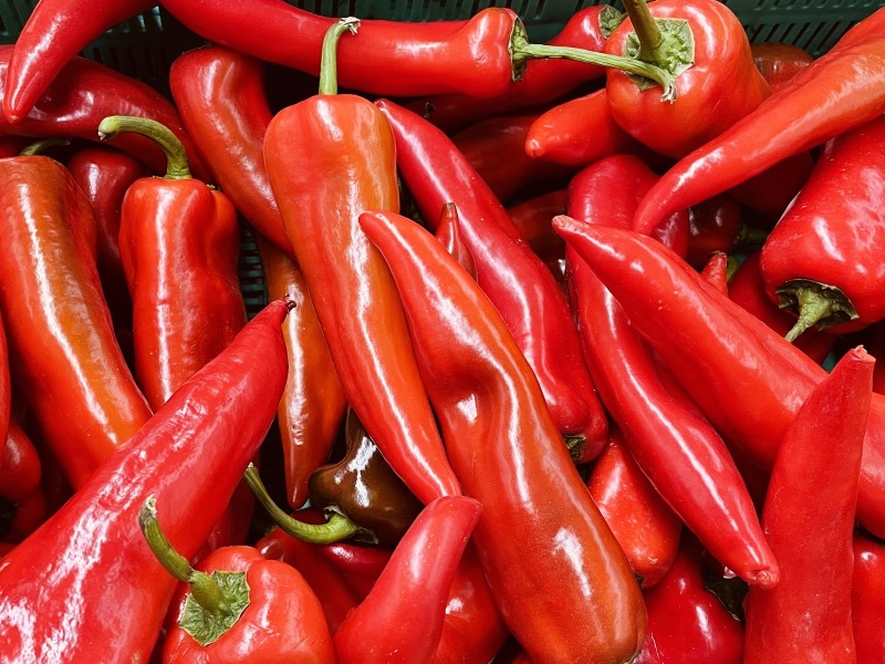 Red Chili Peppers Jigsaw Puzzle