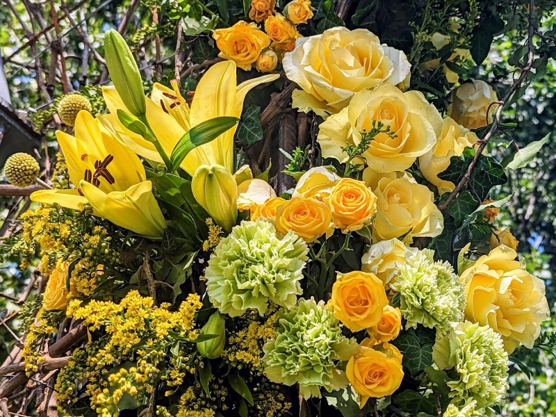 Vibrant Yellow Flower Display Jigsaw Puzzle