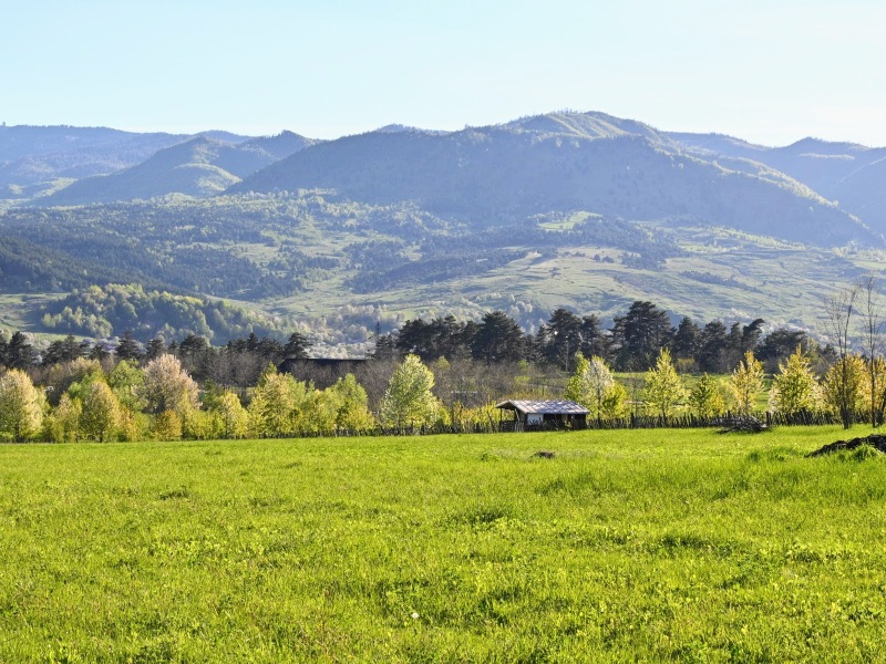 Rolling Hills and Endless Greenery Jigsaw Puzzle