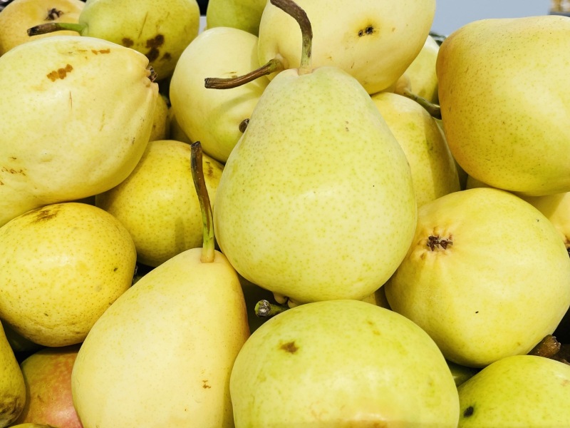 Ripe Yellow Pears Jigsaw Puzzle