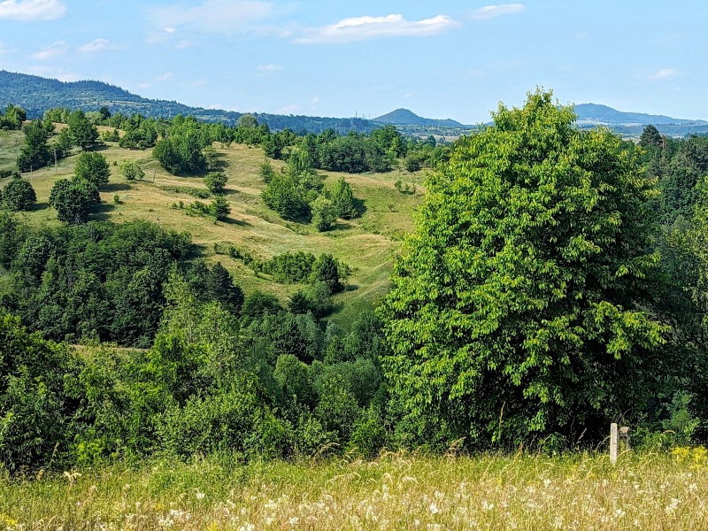 Hilly Landscape With Trees And Meadows Jigsaw Puzzle