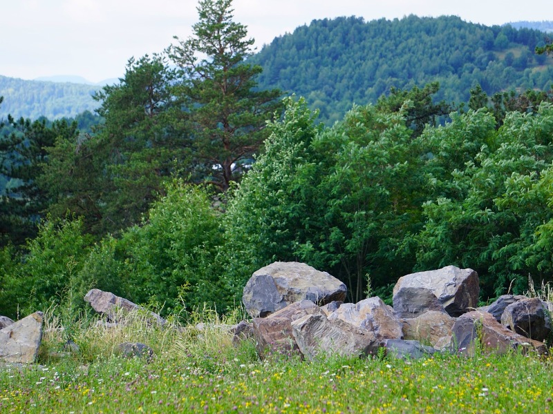 Beautiful Alpine Meadow Jigsaw Puzzle