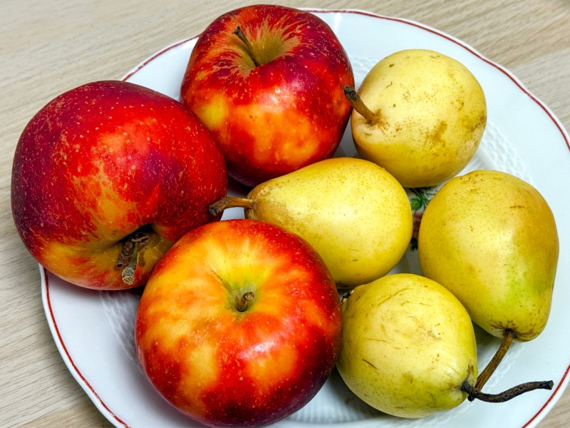 The Perfect Pair - Apples and Pears Jigsaw Puzzle