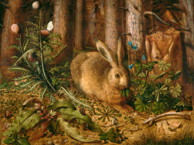 A Hare in the Forest Jigsaw Puzzle