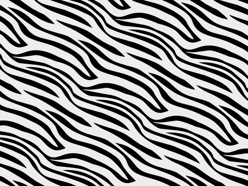Zebra Pattern Jigsaw Puzzle