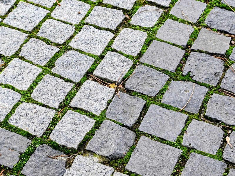 Mossy Stone Pathway Jigsaw Puzzle