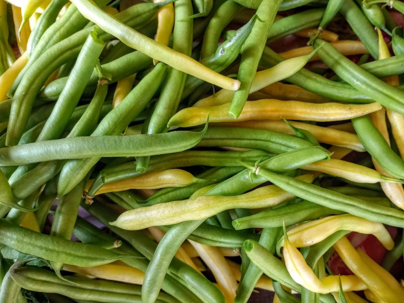 Green Beans Jigsaw Puzzle