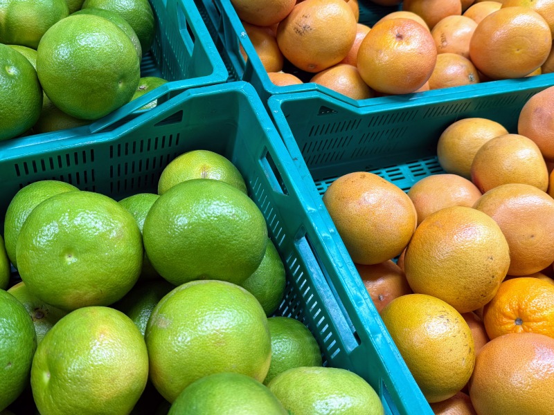 Fresh Citrus at the Market Jigsaw Puzzle