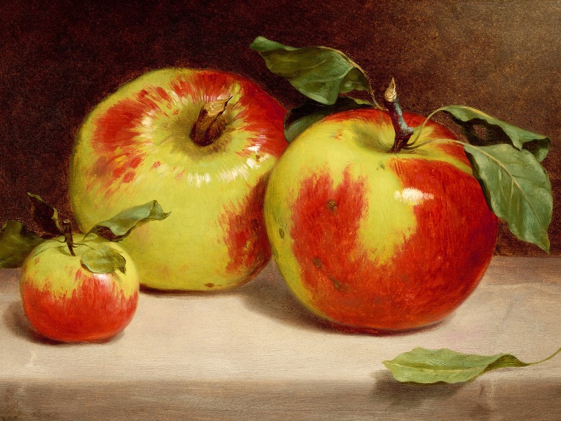 A Study of Apples in Red and Yellow Jigsaw Puzzle